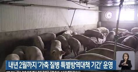 내년 2월까지 가축 질병 특별방역대책 기간 운영