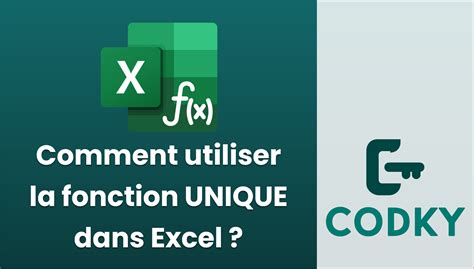Comment Utiliser La Fonction Unique Dans Excel Codky