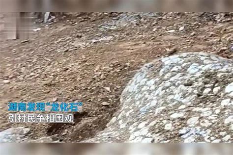 发现“龙化石”引村民争相围观，“化石”露出地部分似爪子