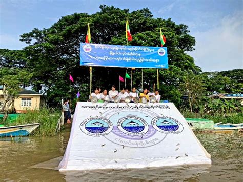 သာပေါင်းမြို့နယ်တွင် ငါးသယံဇာတ တိုးပွားစေရေးအတွက် သဘာဝရေပြင် ငဝန်မြစ်ပ