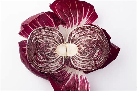 흰색 배경에 고립 된 신선한 빨간 Radicchio 샐러드 건강한 식생활에 대한 스톡 사진 및 기타 이미지 건강한 식생활
