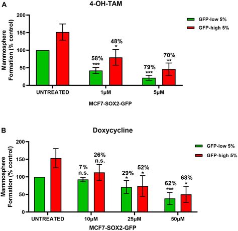 Sox2 High Cancer Cells Exhibit An Aggressive Phenotype With Increases