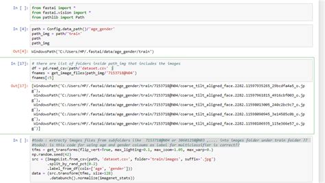 Multi Classifier Labels For Age Gender Classifer Part 1 2019 Fast Ai Course Forums