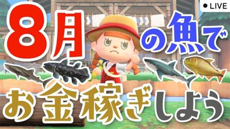 【あつ森配信】8月の魚でお金稼ぎしようライブ【あつまれ どうぶつの森】 あつ森 動画まとめ