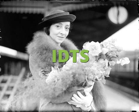 Idts Meaning