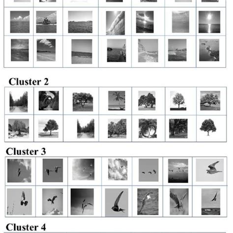 examples of clusters presented by the proposed algorithm download
