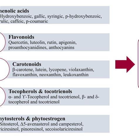 Bioactive Compounds In Date Fruit And The Associated Health Benefits