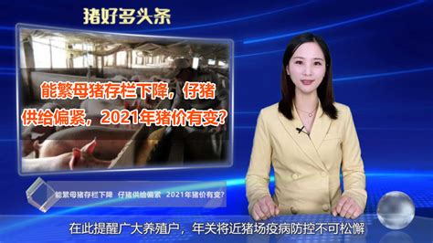 养猪新闻视频养猪视频播放智慧养猪视频大全 生猪全产业链垂直门户资讯网站！