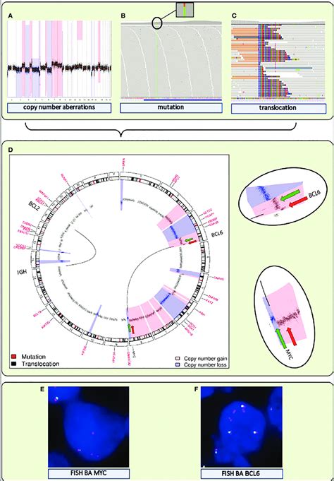 A Single Ngs Assay To Detect Somatic Mutations And Structural