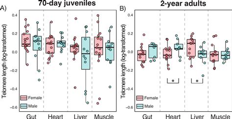 Telomere Dynamics In Maturing Frogs Vary Among Organs Biology Letters