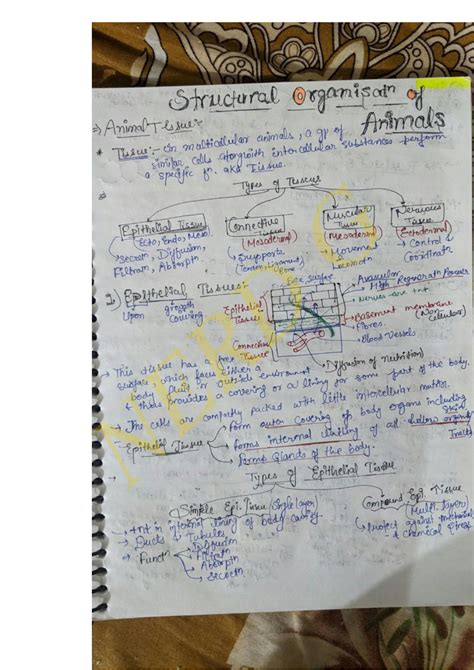 Solution Tissue Frog Cockroach Neet 2024 Studypool