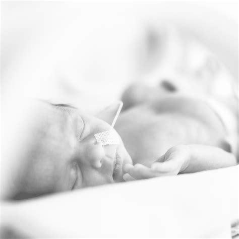 World Prematurity Day Daisy First Aid