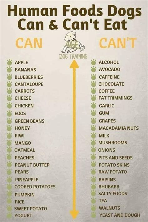 Printable List Of Foods Dogs Can And Cannot Eat