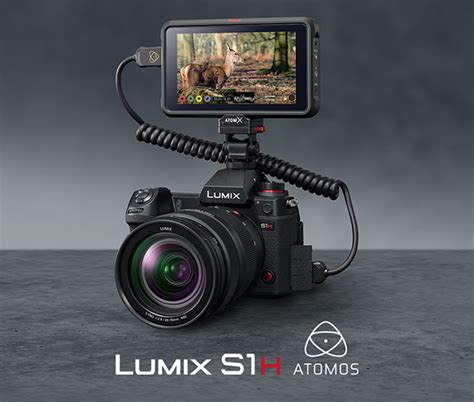 Firmware Update Coming For Panasonic Lumix S1h Camera Photo Review