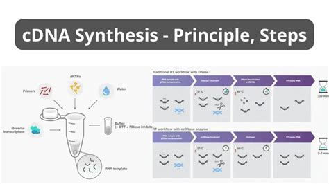 Next Generation Sequencing Principle Steps Involved And
