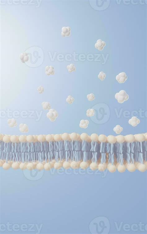 Cell Membrane Structure Background D Rendering Stock Photo At Vecteezy