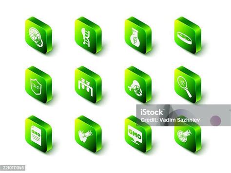 유전자 변형 닭고기 시험관 및 플라스크 박테리아가 있는 페트리 접시 생물학적 위험 돋보기 주황색 Gmo 연구 Gmo 및 사과 아이콘을 설정합니다 벡터 유전자 변형에 대한