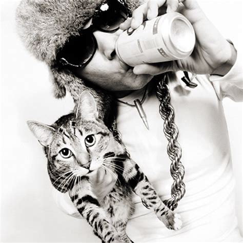 Stream This Is Not A Song This Is Sex Big Ballin Tony Z Mangodunks