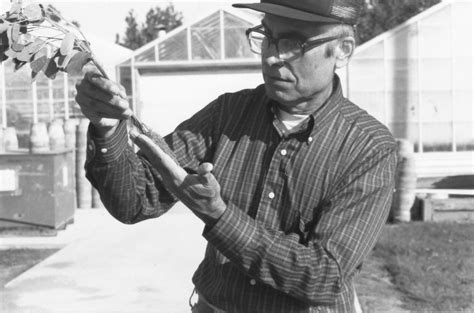 Missouri Soybeans Research Supports 70 Years Of Progress In The Fight