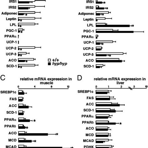 Muscle Compensation Of Lipodystrophy In Adult Ppar Hyp Hyp Mice