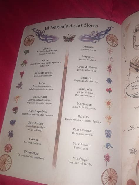 El Lenguaje De Las Flores 🌸🌼💐🥀🌱🏵️💮🌸 Lenguaje De Las Flores Idioma De