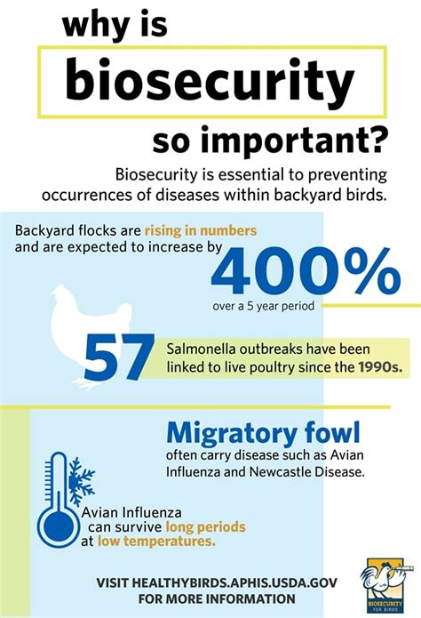 Biosecurity Bitchin Chickens