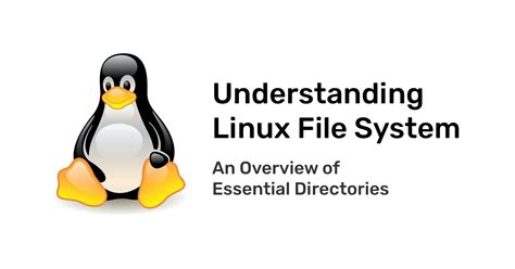 Understanding Linux File System An Overview Of Essential Directories
