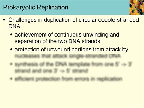 SOLUTION Biochemistry Chapter 10 Biosynthesis Of Nucleic Acids Studypool