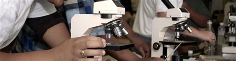 Inverted Vs Upright Microscope 7 Differences In Use And Construction