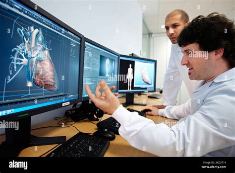 Simulation Of Organ Structure Function Heart Image Health And Biomedical Applications