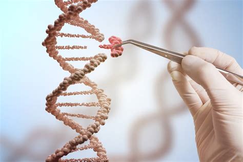 La Técnica Estrella De Edición Genética Puede Incrementar El Riesgo De
