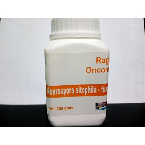 Jual Ragi Oncom 250 Gram Shopee Indonesia