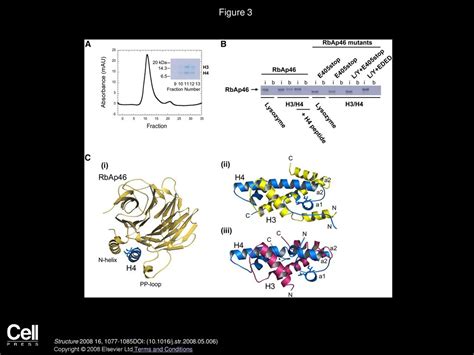 Volume 16 Issue 7 Pages July 2008 Ppt Download