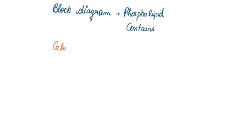 Solved The Following Schematic Drawing Shows Two Integrin Molecules Which Molecule A Or B Is