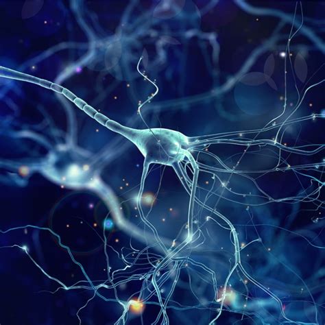 Base Editing What Is It And What Does It Mean For Healthcare Genomics Education Programme