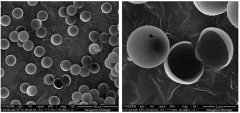 Polystyrene Nano Particles Silicon Particles Polystyrene Beads Microspheres Nanospheres Magnetic