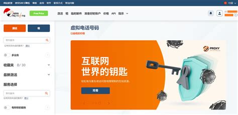Sms Activate海外接码平台介绍 如何注册任何app，社交网络和其他服务账户 晓得博客 Chatgpt教程