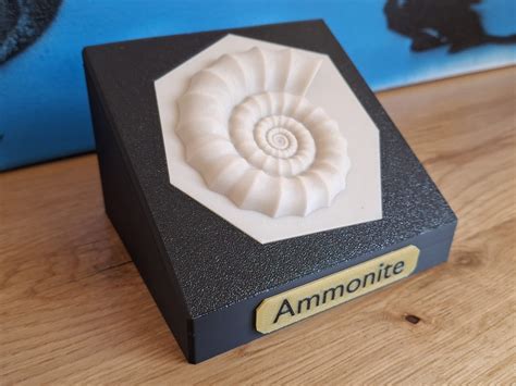 Ammonite Fossil Display By Rov3r Makerworld