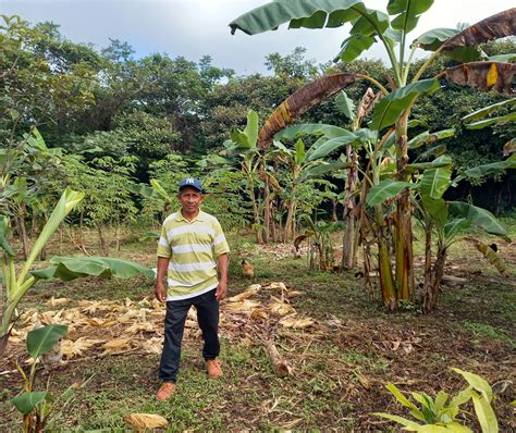 Sustainable Harvest International Is Supporting Rural Families In