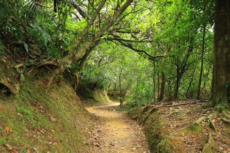 登山教育~無痕山林 健行筆記