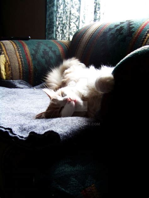 Fuzzy Butt By Rubydi On Deviantart