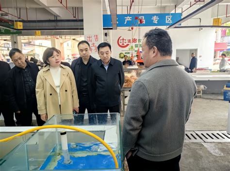 11月7日，县委副杨帆督导调研民宿项目建设和国卫复审工作 宁强县人民政府