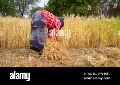 Peasant In Traditional Attire Stock Videos And Footage Hd And 4k Video