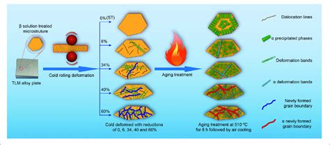 A Schematic Diagram Of Microstructural Evolution And Precipitating