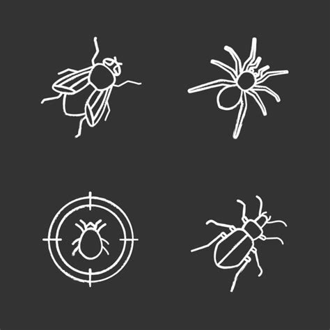 Pest Vector Art Icons And Graphics For Free Download