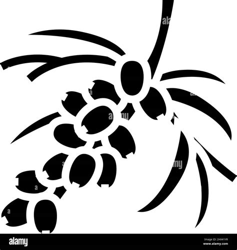 Buckthorn Berry Tree Branch Glyph Icon Vector Illustration Stock Vector