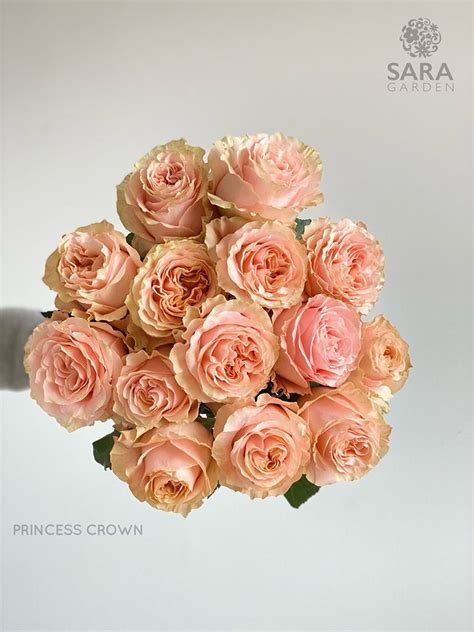Princess Crown Sara Garden