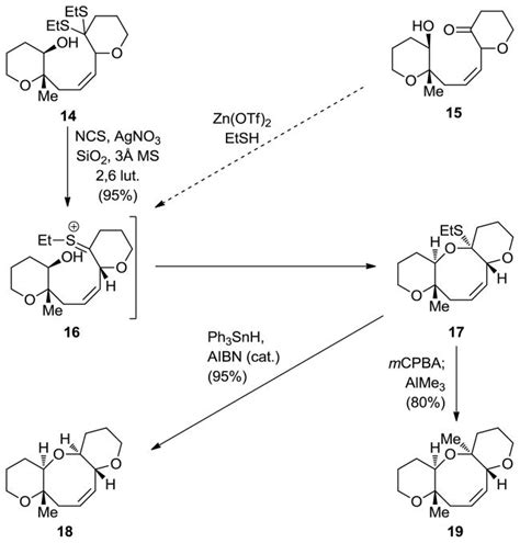 Maitotoxin An Inspiration For Synthesis Pmc