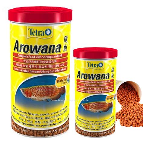 Beginner Care Guide Of Arowana