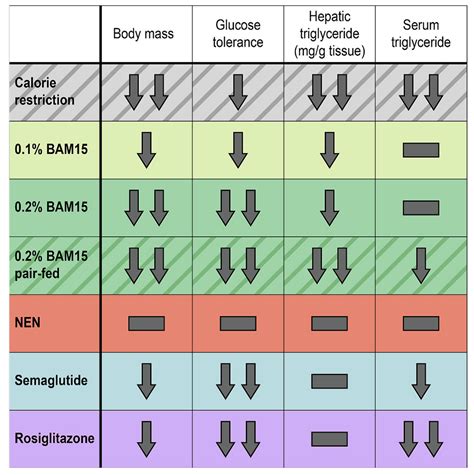 Head To Head Comparison Of Bam15 Semaglutide Rosiglitazone Nen And